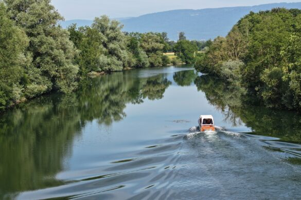 Entre tradition, modernité et excellence - Skippers